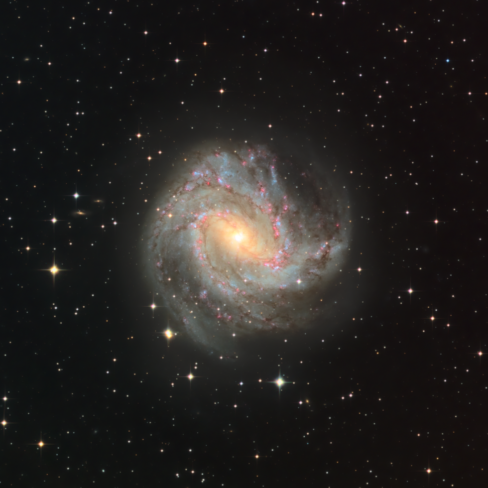 Southern Pinwheel Galaxy | Telescope Live